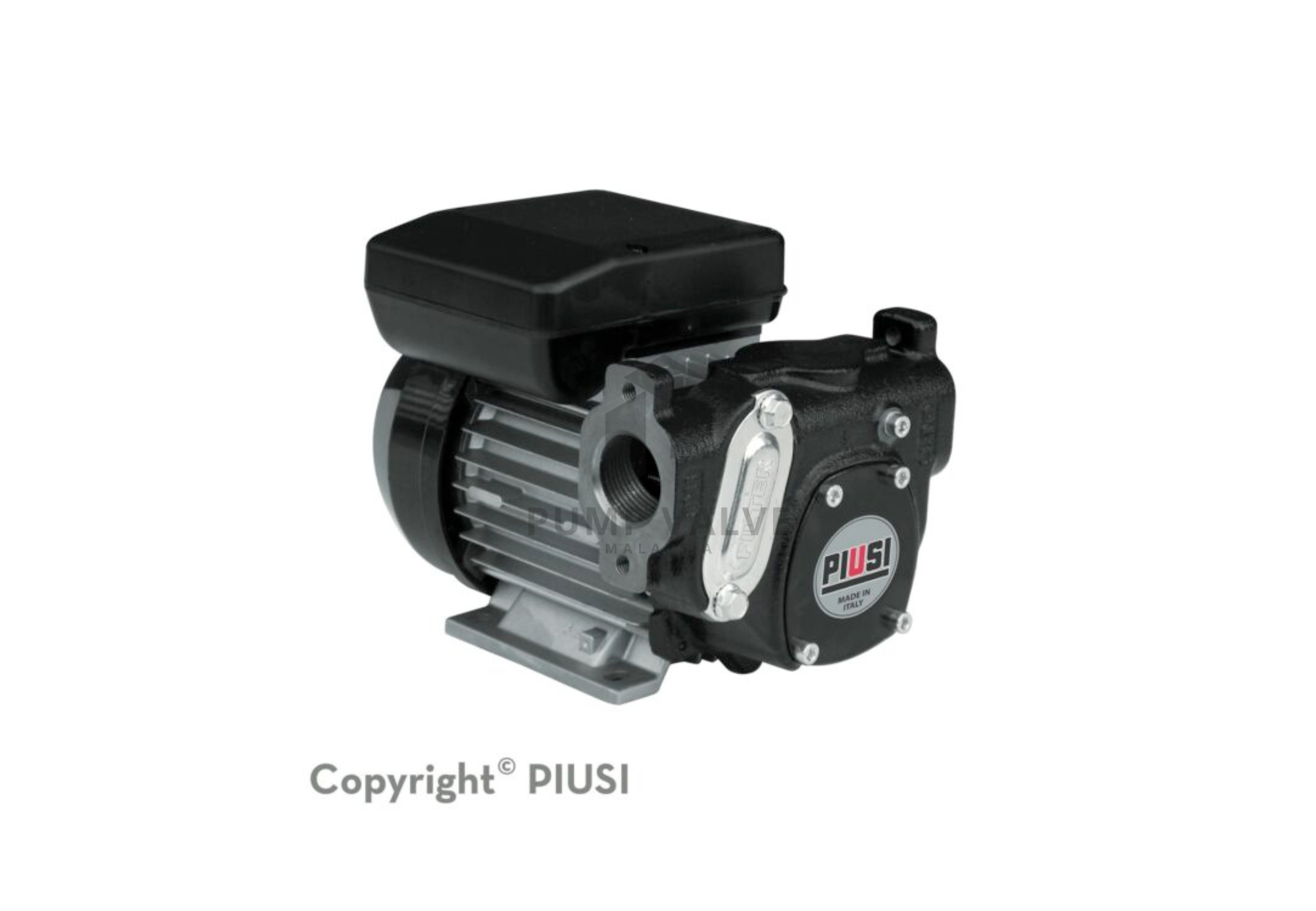 Piusi Pump Malaysia – Pump Valve Malaysia